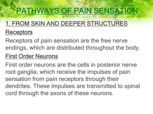 Mechanism of pain | Analgesic system | Pain Physiology | PPTX | Brain ...