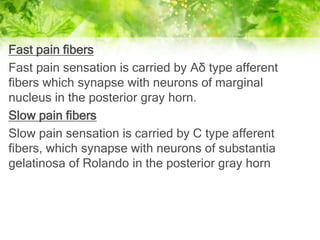 Mechanism of pain | Analgesic system | Pain Physiology | PPTX