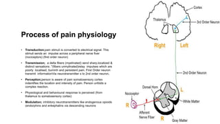 Mechanism of pain.pptx