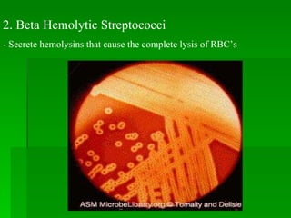 Mechanism Of Pathogenecity | PPT