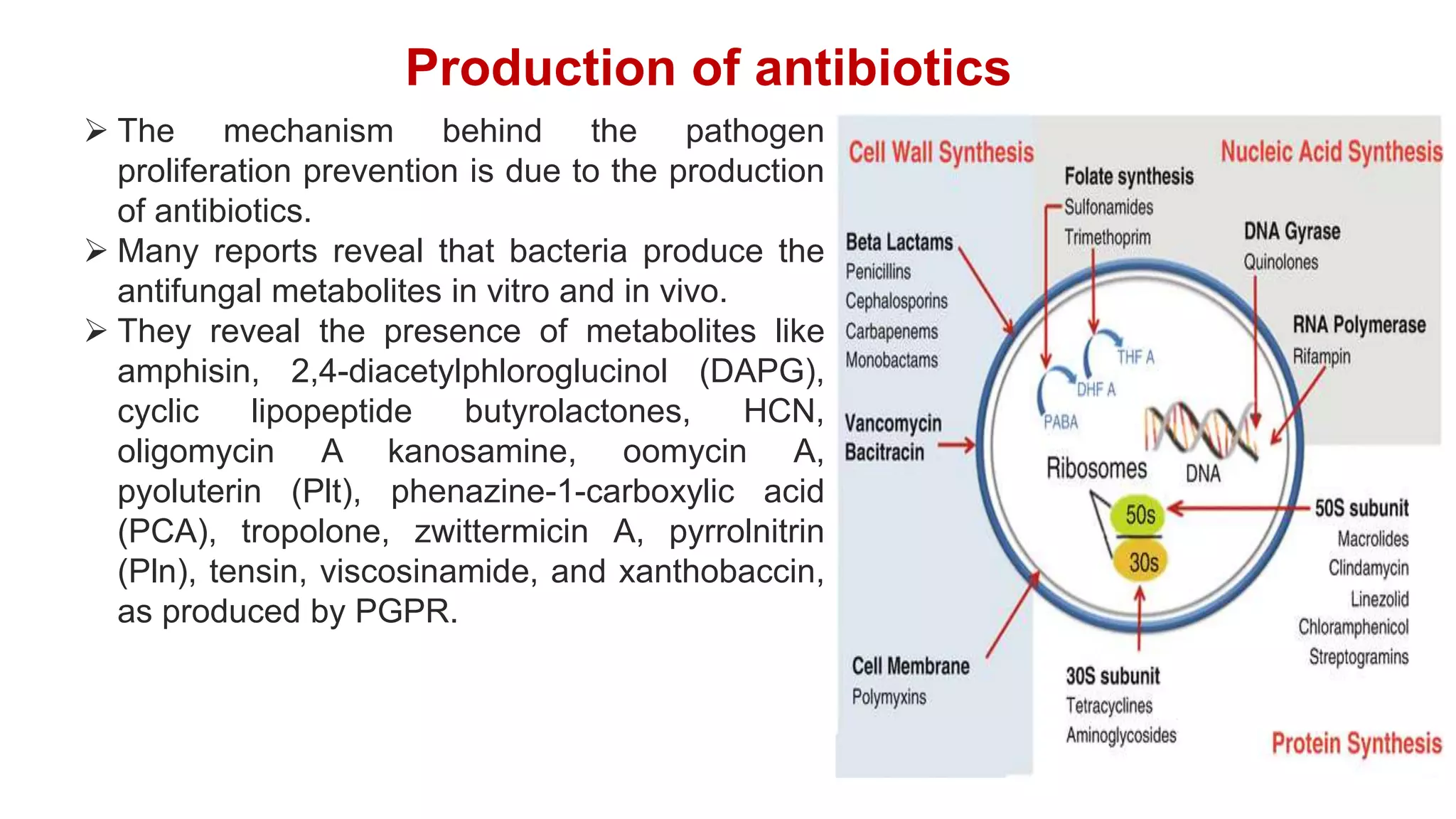 Mechanism of PGPR as biopesticide [Autosaved].pptx