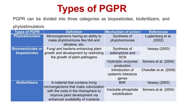 Mechanism of PGPR as biopesticide [Autosaved].pptx