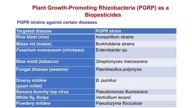 Mechanism of PGPR as biopesticide [Autosaved].pptx
