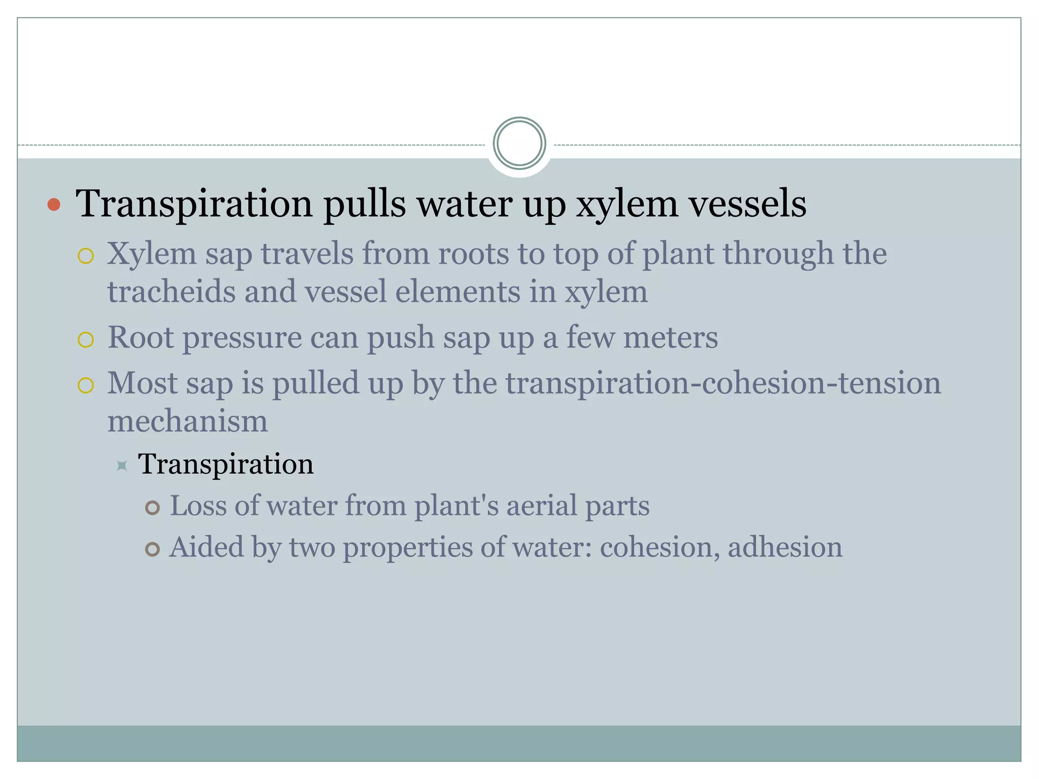 Mechanism of plant nutrient absorption by plant root and plant tissue ...