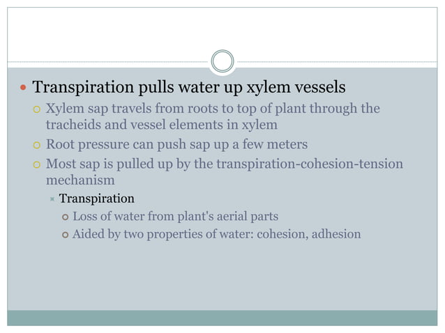 Mechanism of plant nutrient absorption by plant root and plant tissue ...