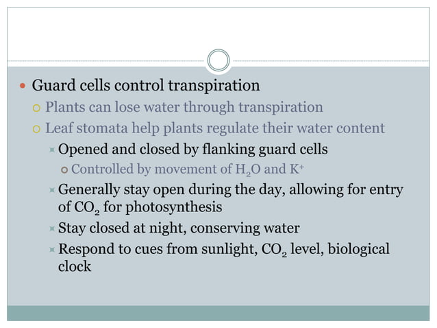 Mechanism of plant nutrient absorption by plant root and plant tissue ...