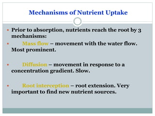 Mechanism of plant nutrient absorption by plant root and plant tissue ...