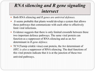 Mechanism of plant resistance to viruses | PPTX