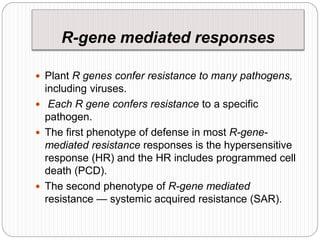 Mechanism of plant resistance to viruses | PPTX