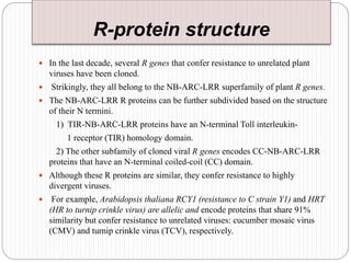 Mechanism of plant resistance to viruses | PPTX