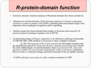 Mechanism of plant resistance to viruses | PPTX