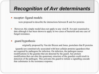 Mechanism of plant resistance to viruses | PPTX