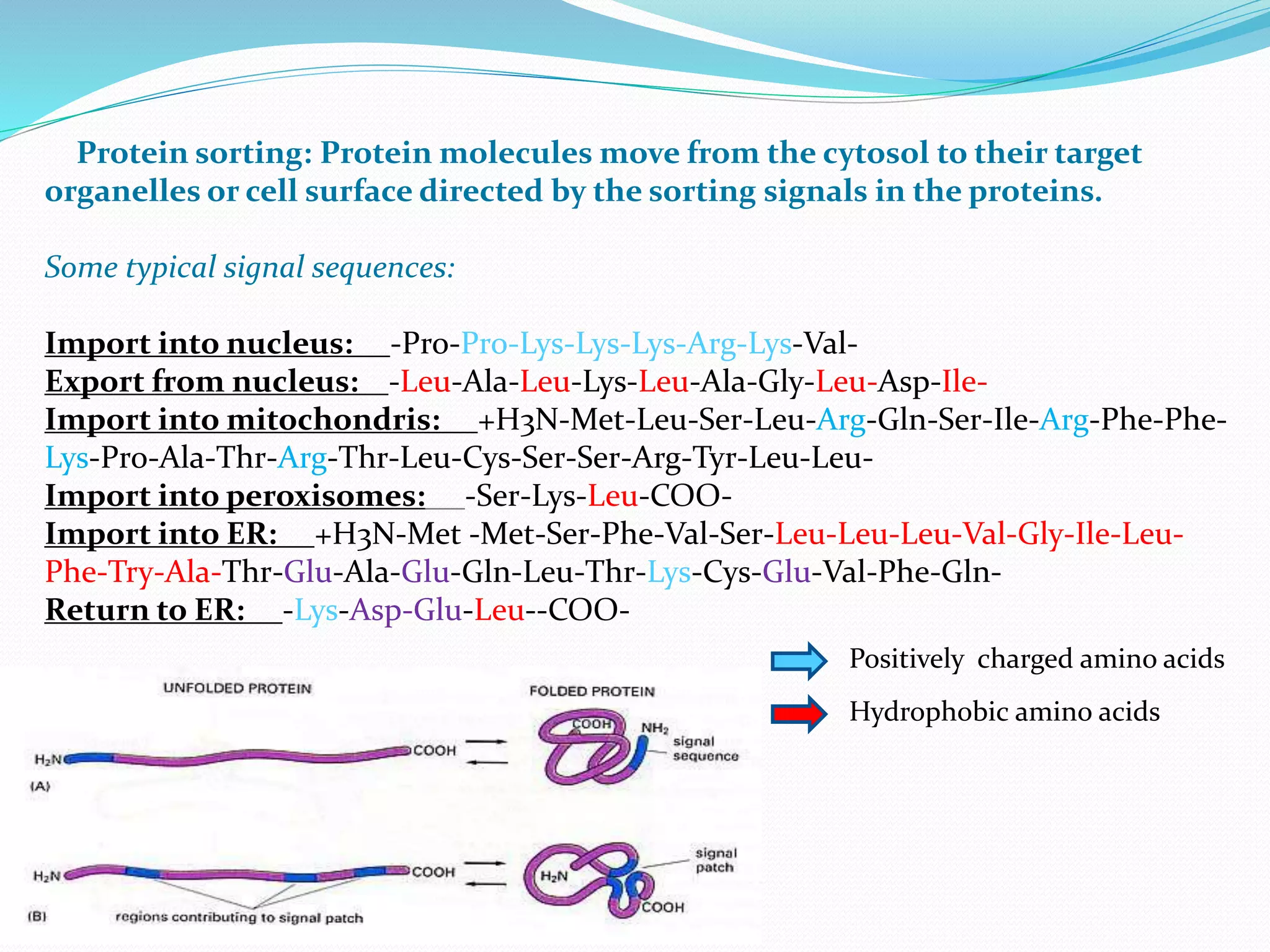 !Mechanism of protein sorting & targeting. | PPTX