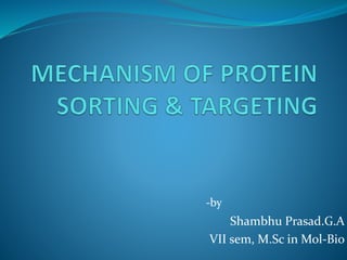 !Mechanism of protein sorting & targeting. | PPTX