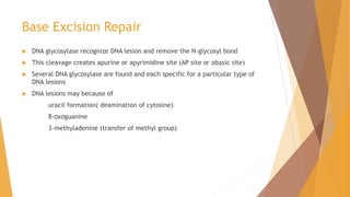 Mechanism of repair | PPTX