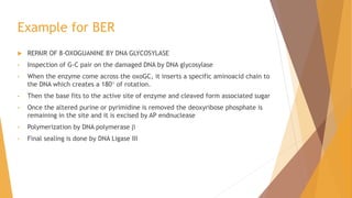Mechanism of repair | PPTX