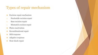 Mechanism of repair | PPTX