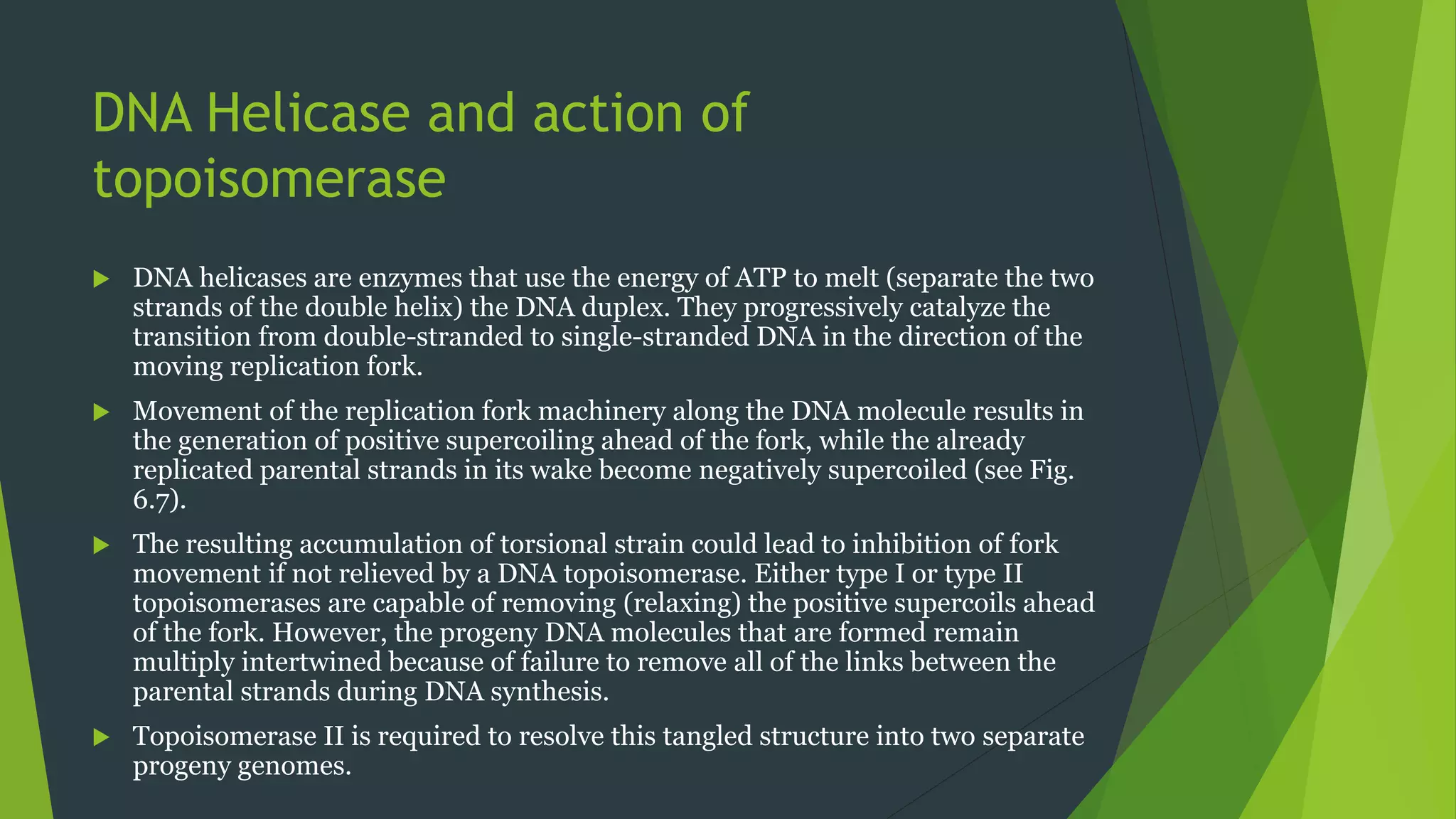 Mechanism of replication | PPTX