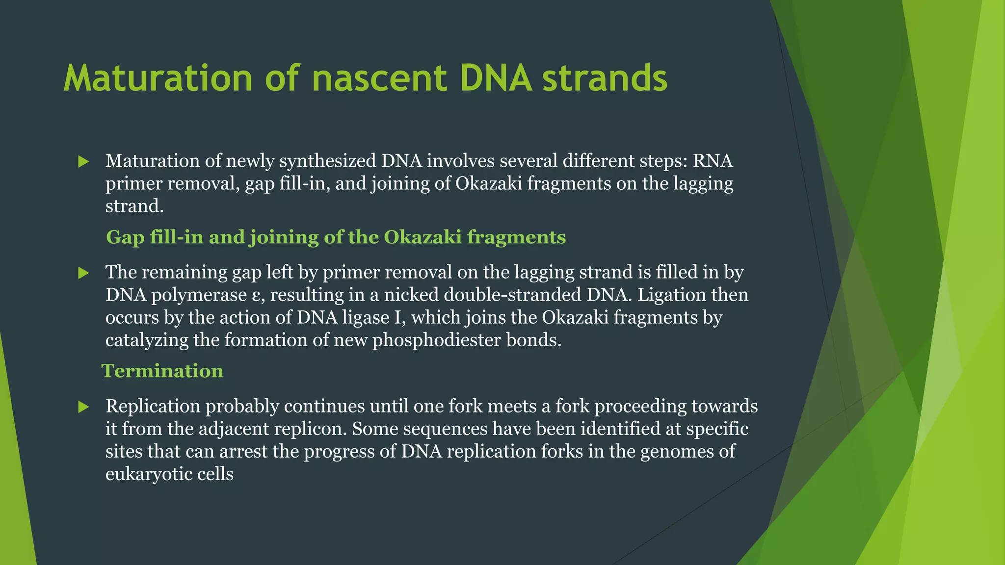 Mechanism of replication | PPTX