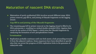 Mechanism of replication | PPTX