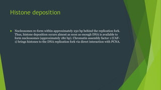 Mechanism of replication | PPTX
