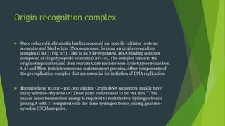 Mechanism of replication | PPTX