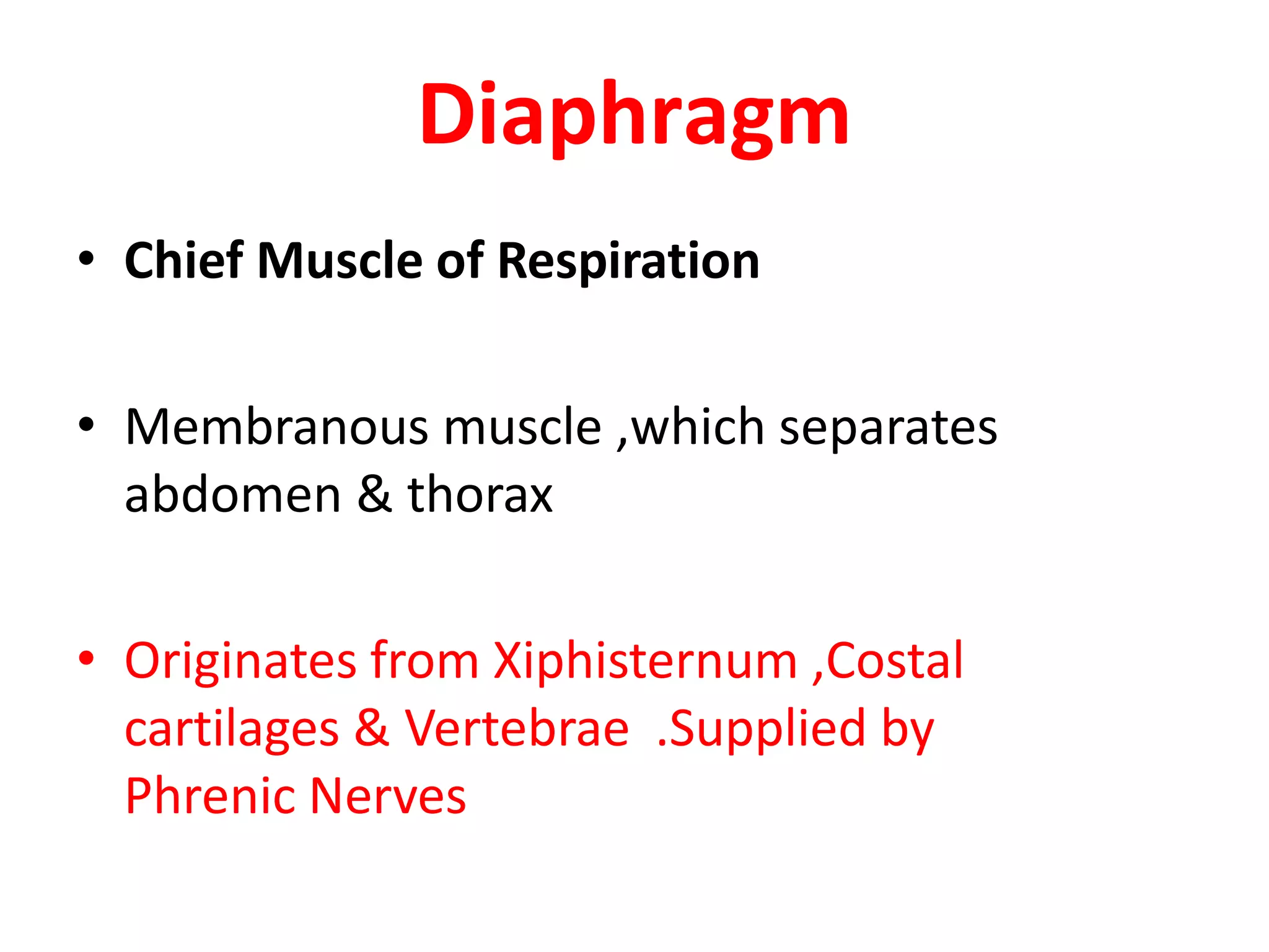mechanismofrespiration.pptx