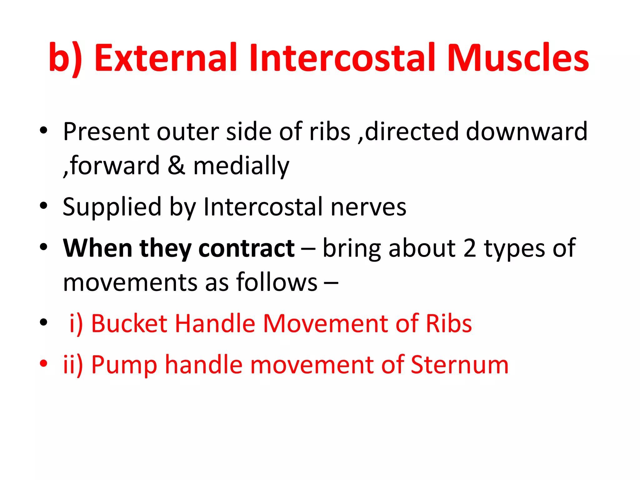 mechanismofrespiration.pptx