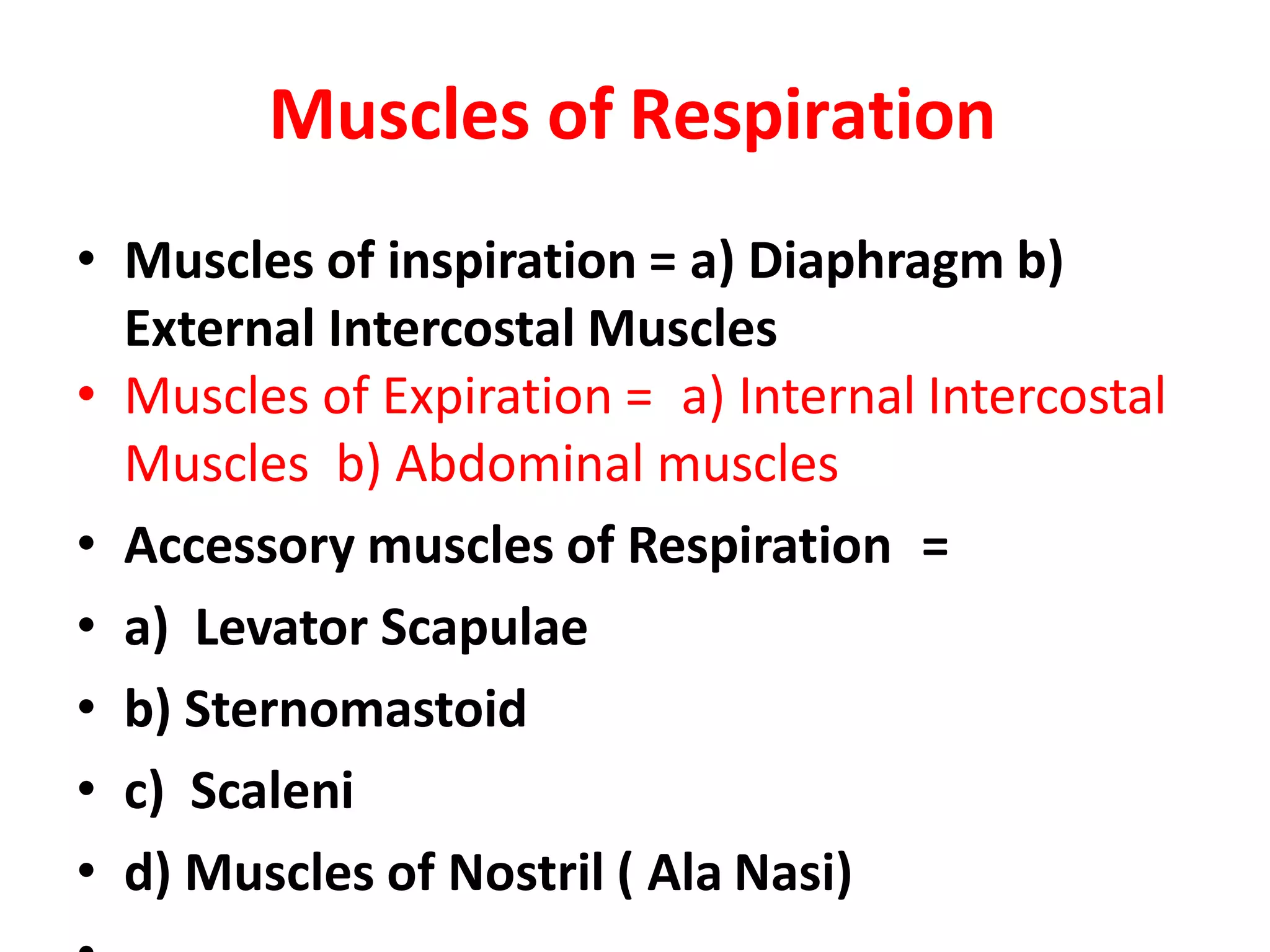 mechanismofrespiration.pptx