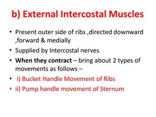 mechanismofrespiration.pptx