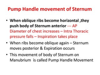 mechanismofrespiration.pptx