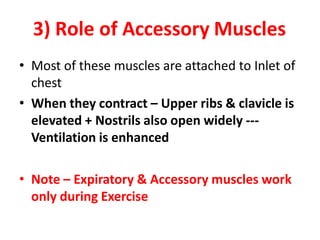 mechanismofrespiration.pptx