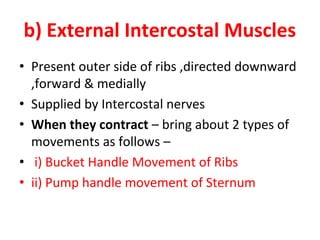 Mechanism of respiration | PDF