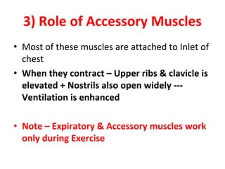 Mechanism of respiration | PDF