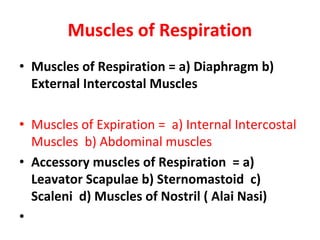 Mechanism of respiration | PDF