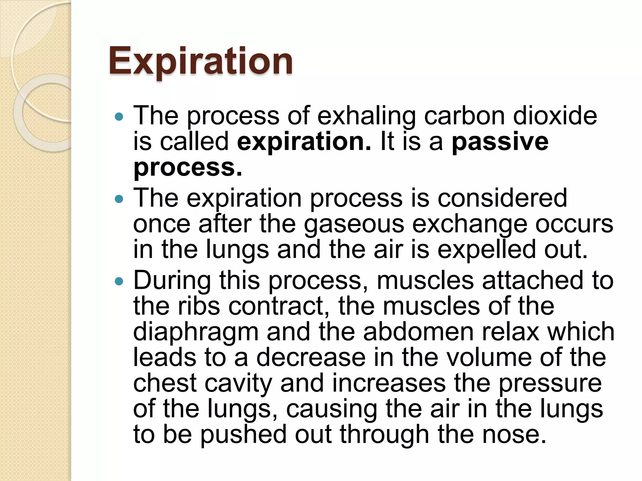 Mechanism of respiration | PPTX