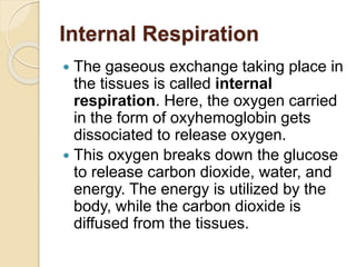 Mechanism of respiration | PPTX