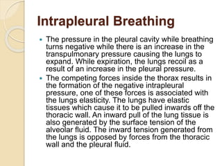 Mechanism of respiration | PPTX