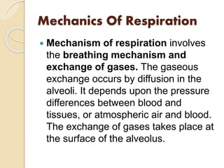 Mechanism of respiration | PPTX