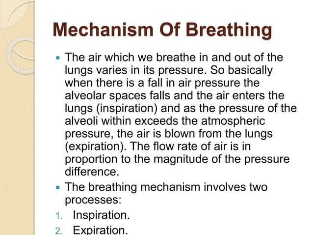 Mechanism of respiration | PPTX