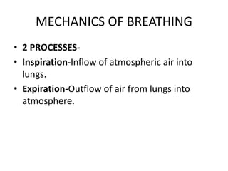 Mechanism of respiration.pptx