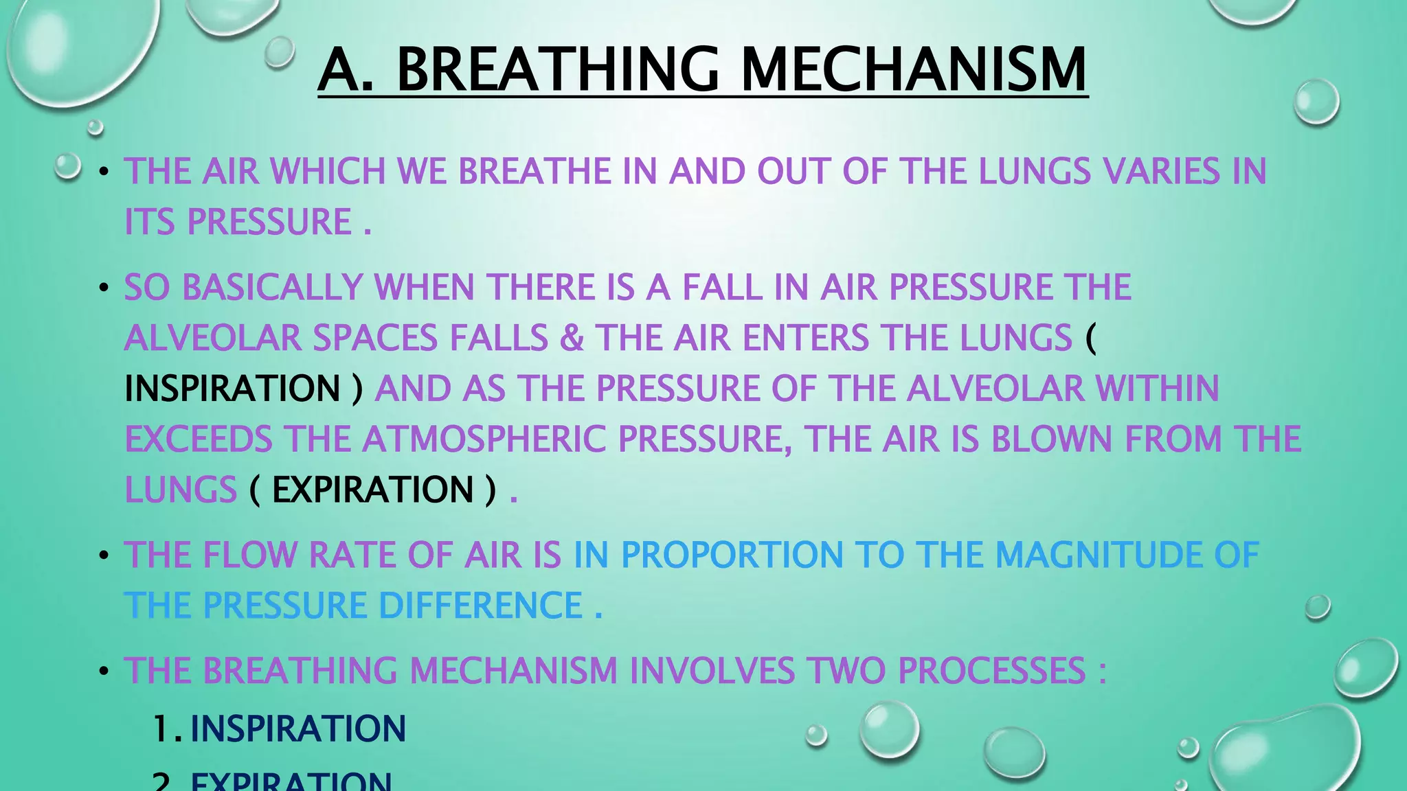 Mechanism of Respiration//BREATHING MECHANISM//Gaseous exchange ...