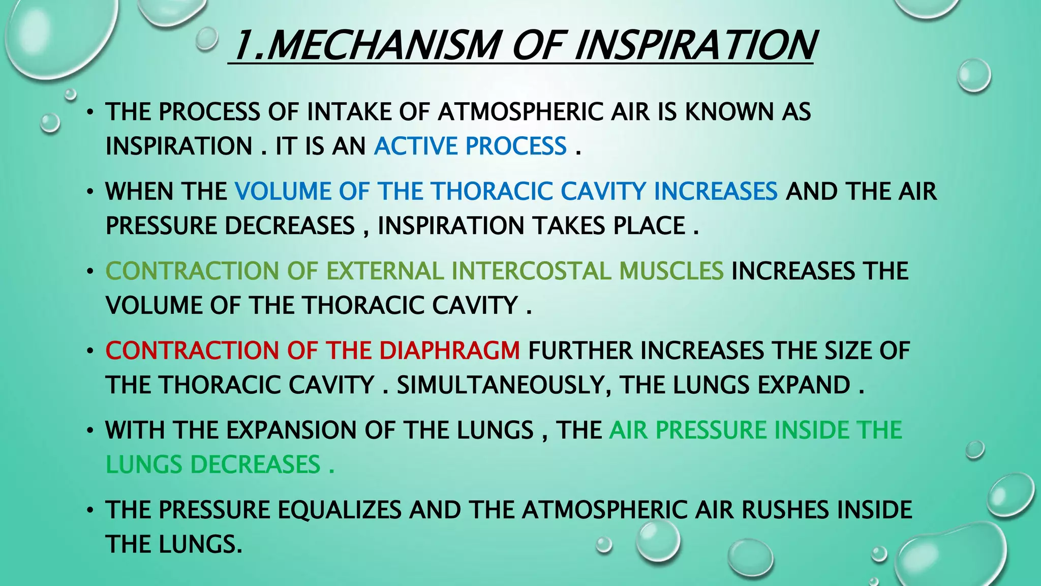 Mechanism of Respiration//BREATHING MECHANISM//Gaseous exchange ...