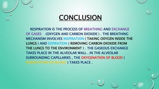 Mechanism of Respiration//BREATHING MECHANISM//Gaseous exchange ...