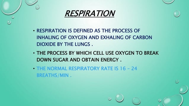 Mechanism of Respiration//BREATHING MECHANISM//Gaseous exchange ...