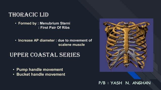 MECHANICS OF RESPIRATION.pptx