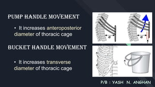 MECHANICS OF RESPIRATION.pptx