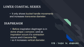 MECHANICS OF RESPIRATION.pptx