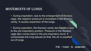MECHANICS OF RESPIRATION.pptx