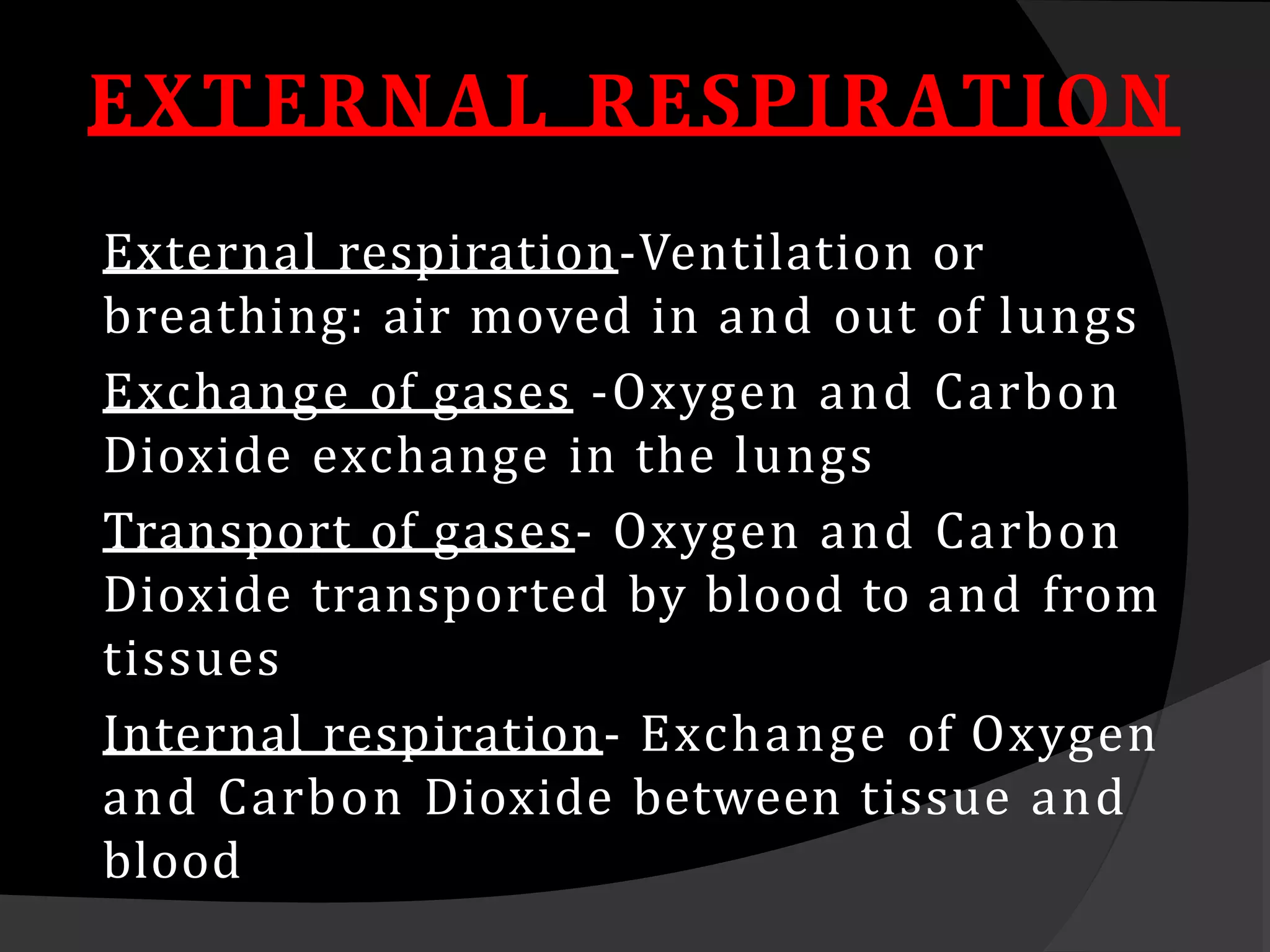 mechanism of respiration.pptx